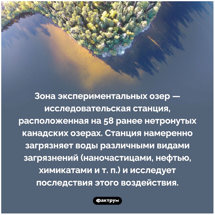 Занимательные факты обо всем » Приколы, юмор, фото и видео приколы ...